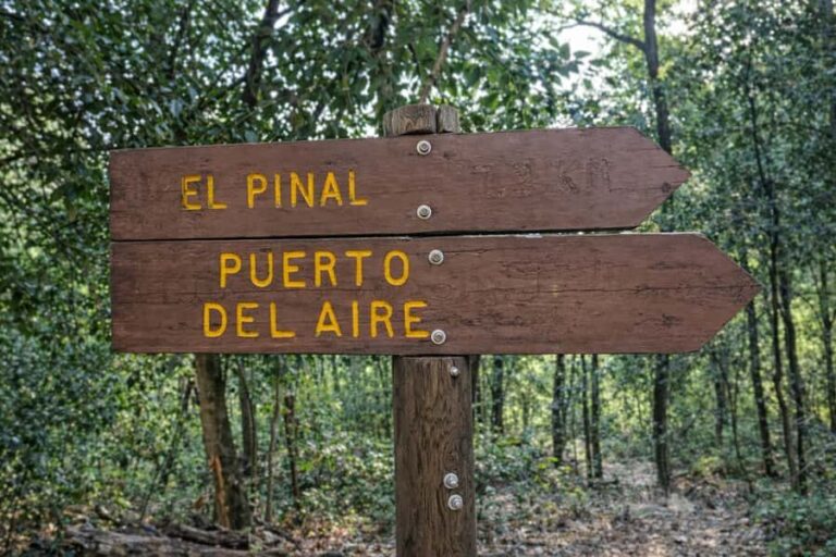 Chipinque Basic Hike: Guided Hiking in the Sierra Madre - The Guide and Language