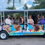 CHIPPIES BAHAMAS Island Tours : Feel The Culture - The Transportation and Group Size