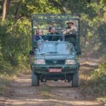 Chitwan: 3-Day Luxury Safari with Room, Meals & Transfers - The Value of This Tour: Breaking Down the Cost