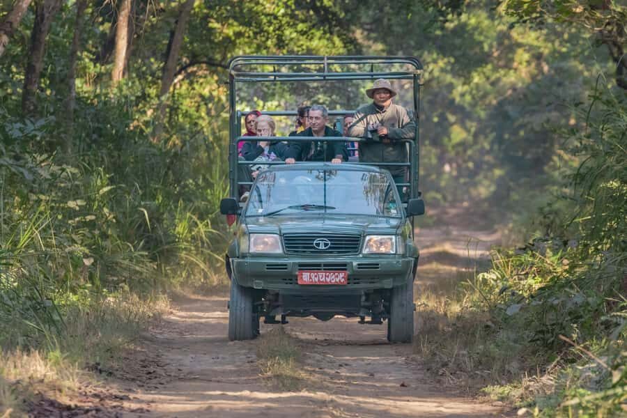 Chitwan: 3-Day Luxury Safari with Room, Meals & Transfers - The Value of This Tour: Breaking Down the Cost