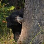 Chitwan 3 nights package from Kathmandu or Pokhara - Who Will Love This Tour?