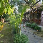 Chitwan Jungle Safari 2 Nights 3 Days with jeep safari & Meals - Daily Itinerary Breakdown