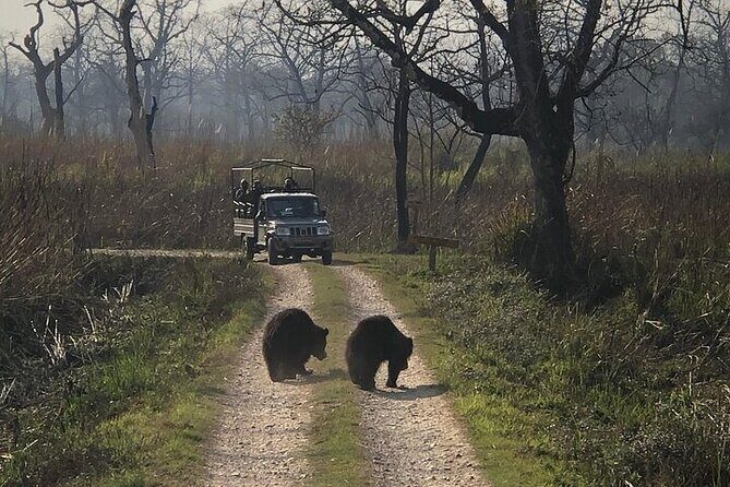 Chitwan Jungle Safari from Kathmandu and Back Multi Day Tour - Why This Tour Offers Great Value
