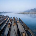 Chitwan: Jungle Safari Tour with Canoe Ride in Forest River - Why This Tour Offers Great Value