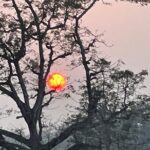 Chitwna Jungle Safari 2N3Days Full Package - Final Thoughts