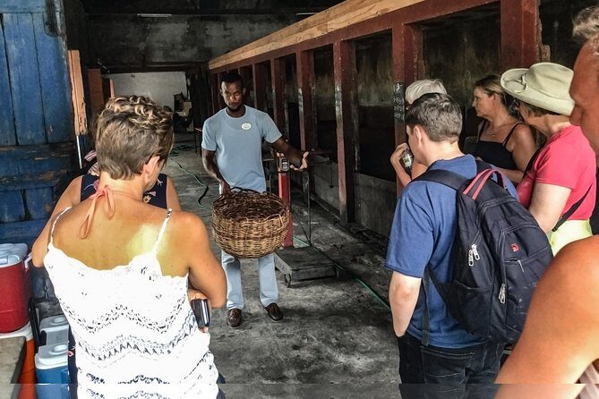 Chocolate Factory Belmont Estate, Annandale Falls & Grand Etang Lake Tour - Transportation and Group Size