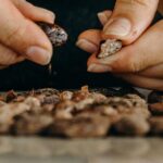 Chocolate Master Class & Taino Concept Store - Transportation, Pricing, and Practical Tips