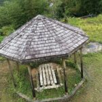 Chocolate, Waterfall, spices and Nature tours! - What Travelers Say: Authentic Praise and Genuine Experiences