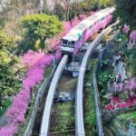 Chongqing: 1 Day Magic Mountain City Walking Tour - Kui Xing Lou and the 8D Terrain