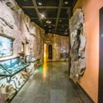 Chongqing China Three Gorges Museum Private VIP Guided Tour - Main Exhibitions and What They Reveal