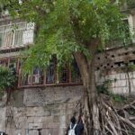 CHONGQING City Guided Hiking Day Tour: Lens, Bites & Hidden Steps - Authenticity and Traveler Insights