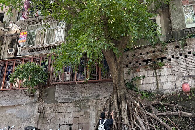 CHONGQING City Guided Hiking Day Tour: Lens, Bites & Hidden Steps - Authenticity and Traveler Insights