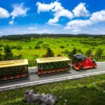 Chongqing: Fairy Mountain Forest Park Ticket - What’s Included and How the Tour Works