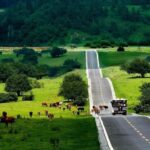 Chongqing: Tiansheng Three Natural Bridges Carpool Tour - Who Will Enjoy This Tour?