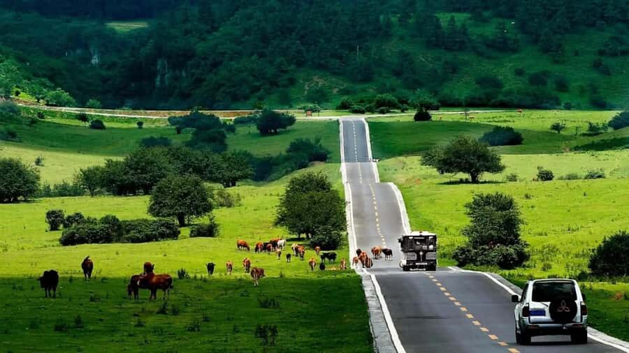 Chongqing: Tiansheng Three Natural Bridges Carpool Tour - Who Will Enjoy This Tour?