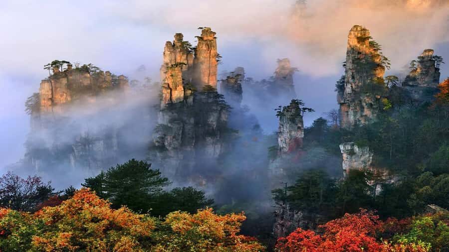 Chongqing & Zhangjiajie: 6-Day Nature & Metropolis Tour - What You Can Expect from This Tour