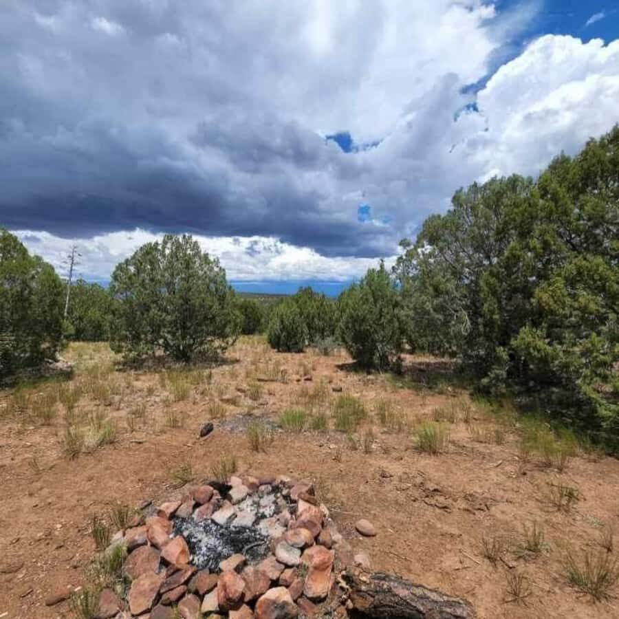 Chrysotile Arizona: Off-Roading to Regal Canyon Scenic Views - Practical Tips for Participants