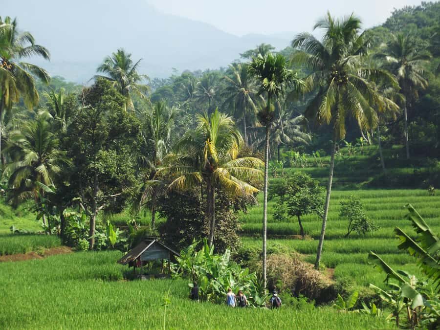 CIanjur : Downhill and Countryside Cianjur Cycling Tour - The Practicalities