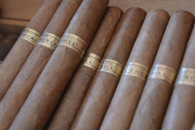 Cigar Shopping Tour in Punta Cana with Transportation Included - Who Should Consider This Tour?