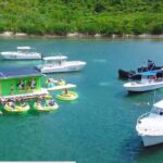 Circle the Island of St. John | Lunch stop at Lime Out (Taco Boat) - What the Reviews Say