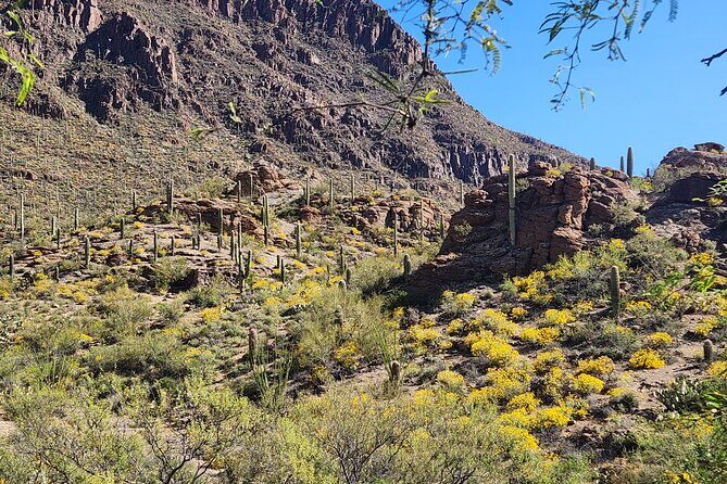 City of Tucson Tour - Practical Details