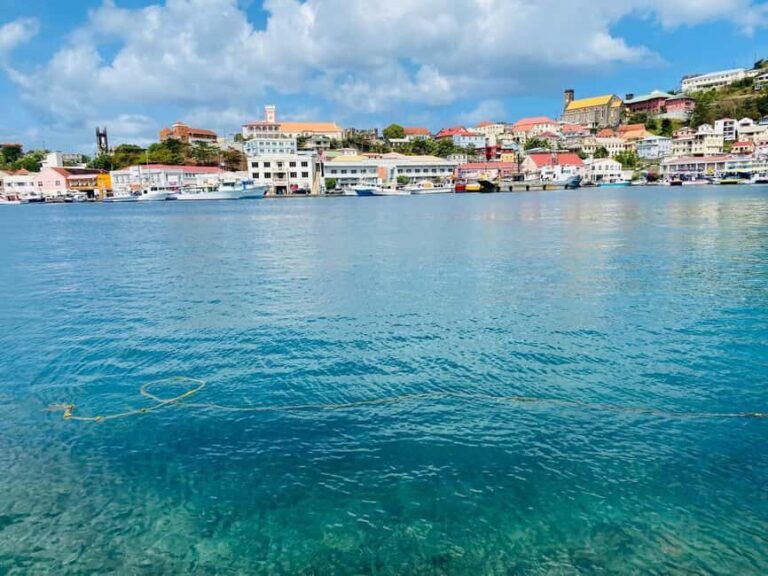 City Tour in vintage model T replica - Why Travelers Love This Tour