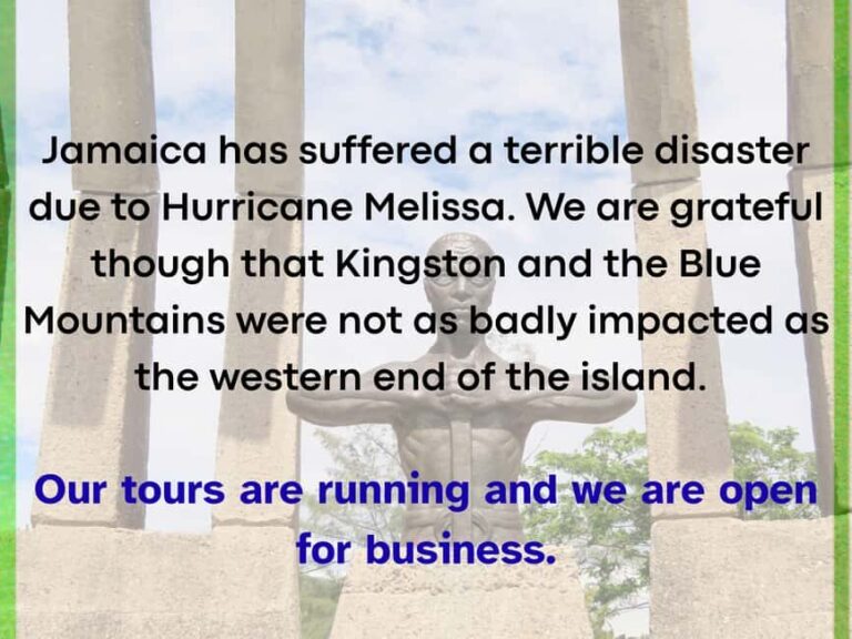 City Tour of Kingston Including Entry Fees - What We Loved About This Tour