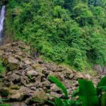 City Tour with Botanical Gardens, Trafalgar Falls & Morne Bruce - Frequently Asked Questions