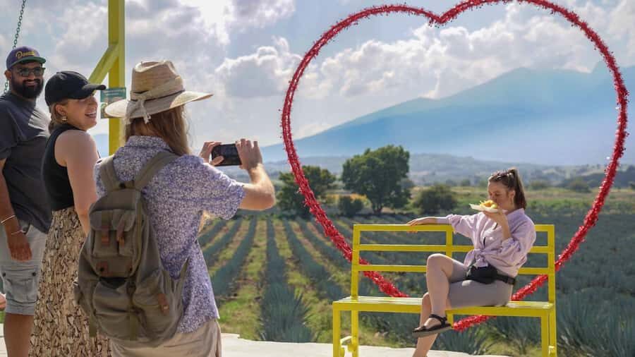 Classic Tequila Route Tour from Guadalajara and a few drinks at El Güero!!! - Authenticity and Value for Money