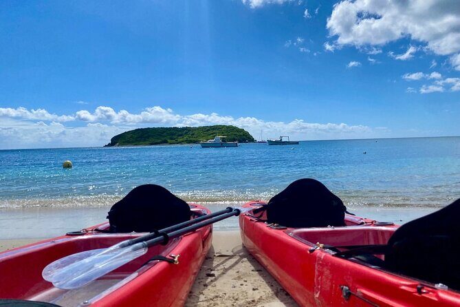 Clear Bottom Kayaking and Snorkel Reef Exploration - Who Will Love This Tour?