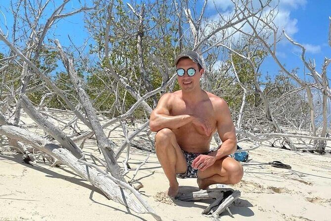 Clear Bottom Kayaks Mangrove Tour - What You Can Expect in Detail