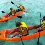 CLEAR BOTTOM KAYAKS Tour in Bioluminescent, Mosquito Bay - The Sum Up