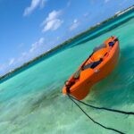 Clear kayak Grand Turk Island Kayak Tour of the mangroves - What to Expect from the Tour