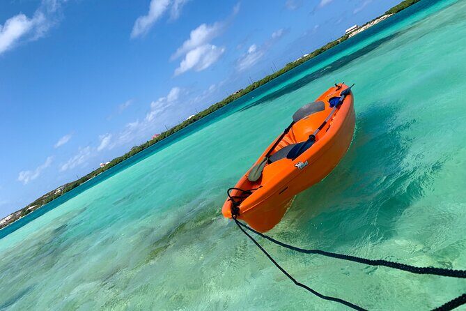Clear kayak Grand Turk Island Kayak Tour of the mangroves - What to Expect from the Tour