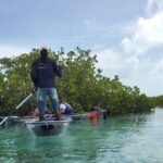 Clear Kayak Mangrove Eco Tour - FAQs: Your Practical Questions Answered