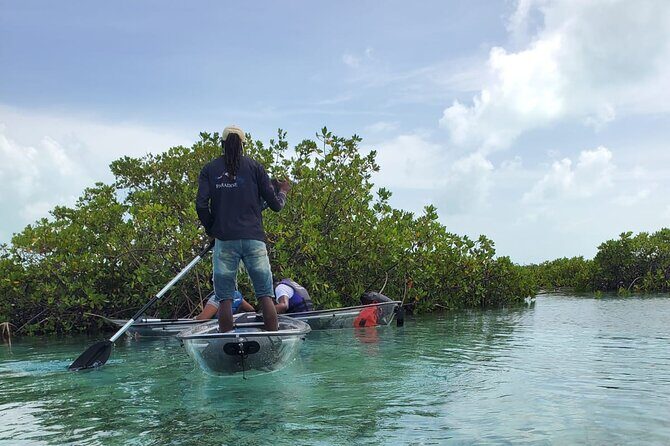 Clear Kayak Mangrove Eco Tour - FAQs: Your Practical Questions Answered