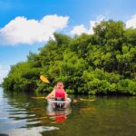Clear Kayak Tour in Mangrove Antigua - The Itinerary Breakdown — What You Can Expect