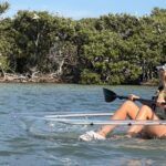 Clear Kayak Tour of Clearwater Beach - Detailed Itinerary Breakdown