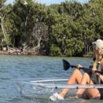 Clearwater Beach: Clear Kayak Tour with an ecotour guide - The Experience in Detail