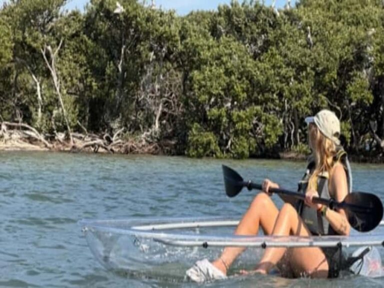 Clearwater Beach: Clear Kayak Tour with an ecotour guide - The Experience in Detail