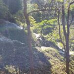 Climb Sticky Waterfall Like Spiderman from Chiang Mai city - Real Travelers’ Insights and Highlights