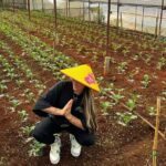 Cloud Hunting and The Glow of Dawn in Da Lat - Exploring Cau Dat Tea Hill and Wind Turbines