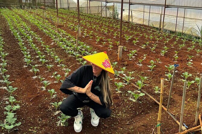 Cloud Hunting and The Glow of Dawn in Da Lat - Exploring Cau Dat Tea Hill and Wind Turbines
