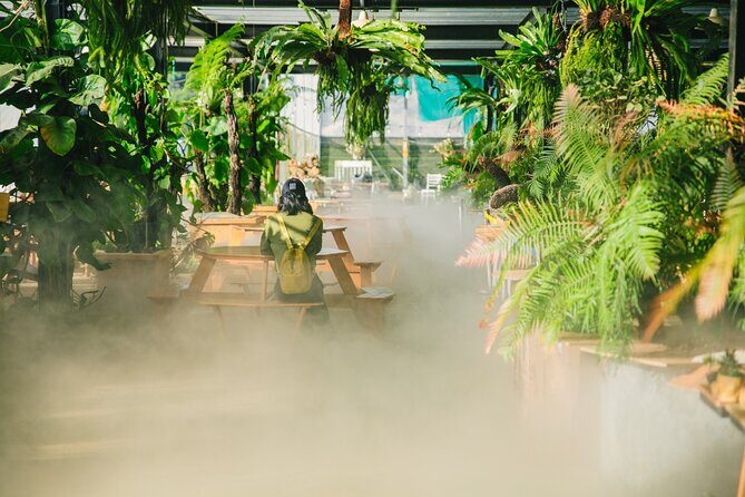 Cloud Hunting - Experience Dalat Special Products - In-Depth Itinerary Breakdown