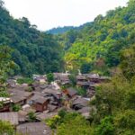 CNX: Trekking & Villager living in forest, tea& coffee farm - What Makes This Tour Stand Out?