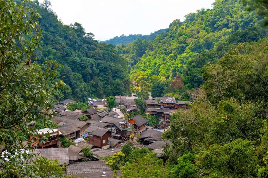 CNX: Trekking & Villager living in forest, tea& coffee farm - What Makes This Tour Stand Out?