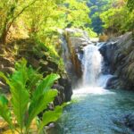 Coastal Adventure in Quimixto : Hiking and Cooking Workshop - Who Will Love This Tour?