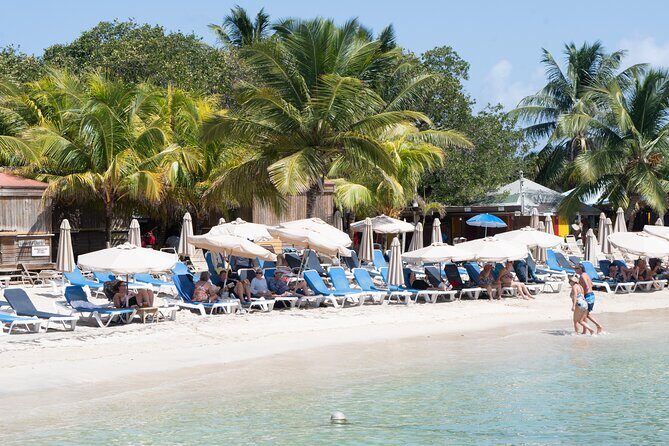 Cockleshell Beach Excursion, Snorkeling and Scenic Views - Final Thoughts: Is This Tour Worth It?