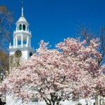 CODA, Manchester by the Sea Half Day Movie Tour - The Sum Up