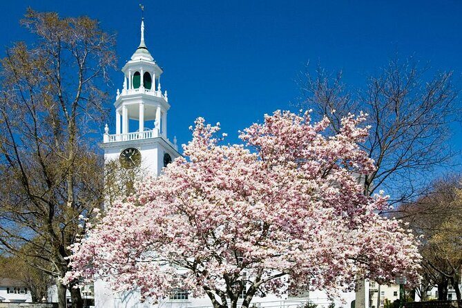 CODA, Manchester by the Sea Half Day Movie Tour - The Sum Up